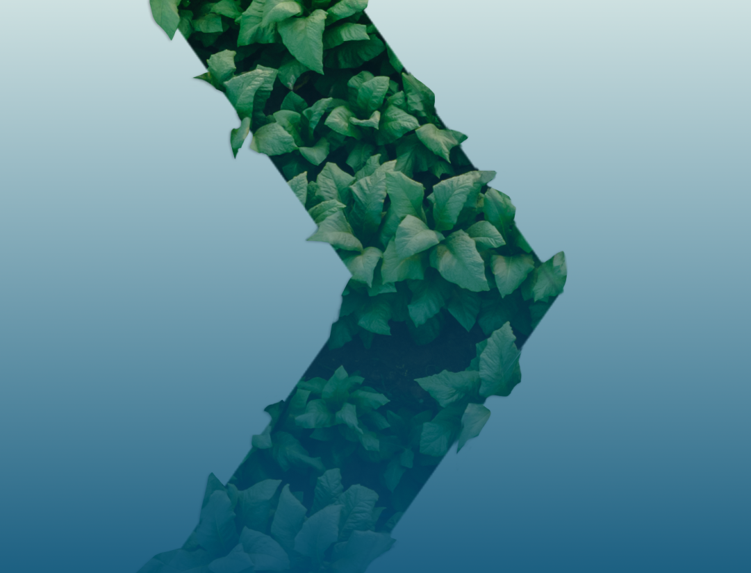 General Snus | Smokeless, Spitless Swedish Snus